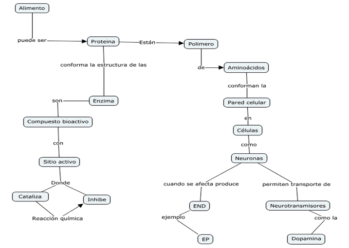 Mapa Conceptual Simple De Proteinas